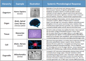 BioPhotonics - Applied BioPhotonics Ltd.